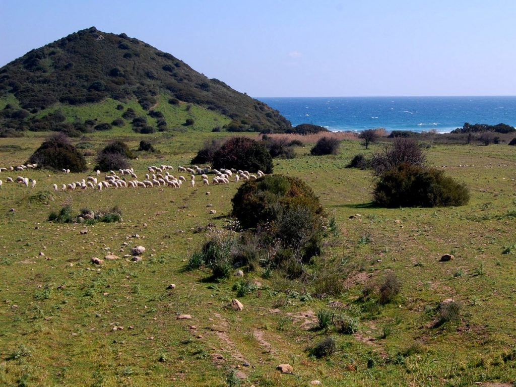 Holidays Castiadas, Costa Rei (Sardinia): rentals & info - Sardinia Natour